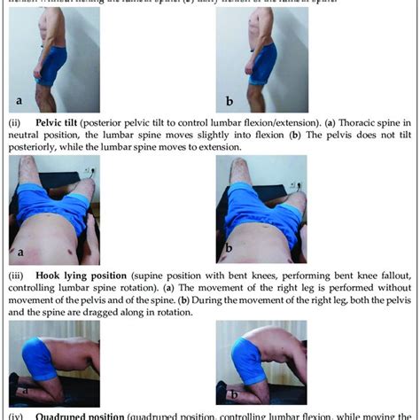 Visual Representation Of Two Interdependent Lines Of Research That