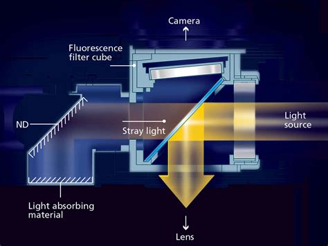 Eclipse Ni Series Upright Microscopes Microscope Products Nikon Instruments Inc