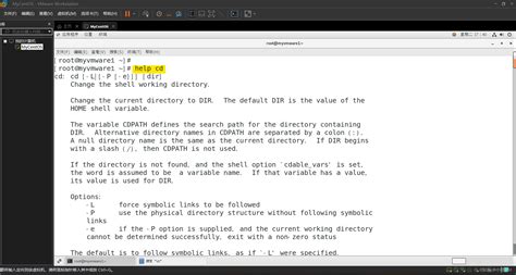 Shell命令（一）shell命令如何查看帮助 Csdn博客
