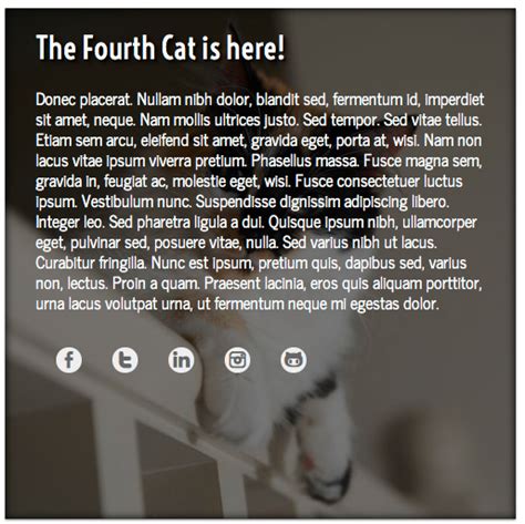 Pure Css3 Captions By Luca8link Codecanyon