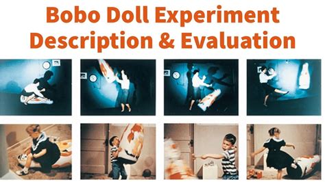Albert Bandura Bobo Doll Banduras 4 Principles Of Social Learning