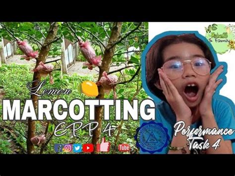 MARCOTTING EPP 4 PERFORMANCE TASK YouTube