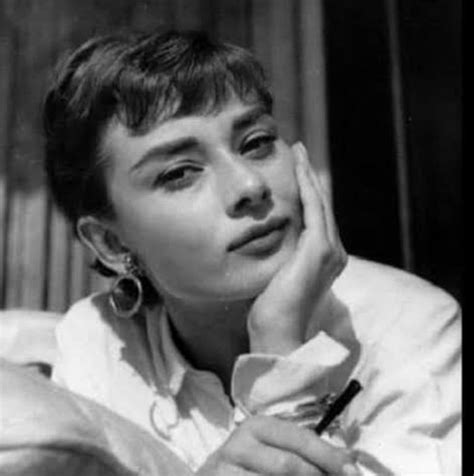 مصريين أستار اكاديمى الموسم 10