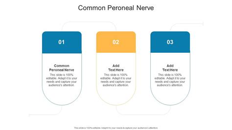 Common Peroneal Nerve In Powerpoint And Google Slides Cpb PPT Template