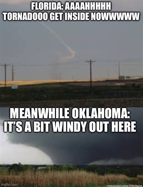 Windy Memes And S Imgflip