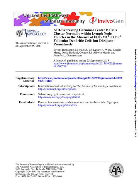 Pdf Aid Expressing Germinal Center B Cells Cluster Normally Within Lymph Node Follicles In The