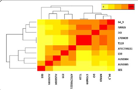 Heatmap Showing Similarities Between Genomic Islands Of The Strains