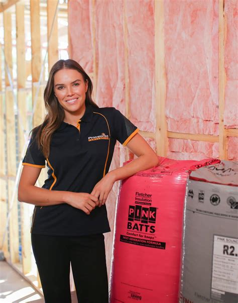 Pink Batts ® Ceiling Insulation Pricewise Insulation