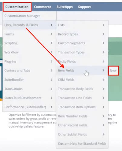 How To Create A Custom Item Field In Netsuite