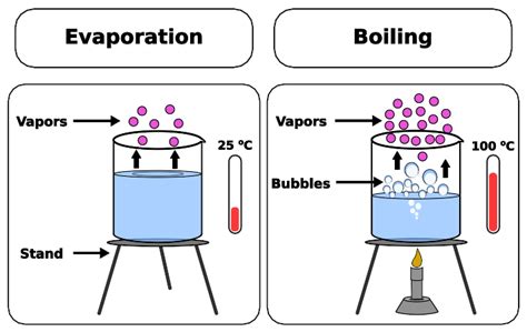 What Is Evaporation Definition Examples Factors Affecting 51 Off