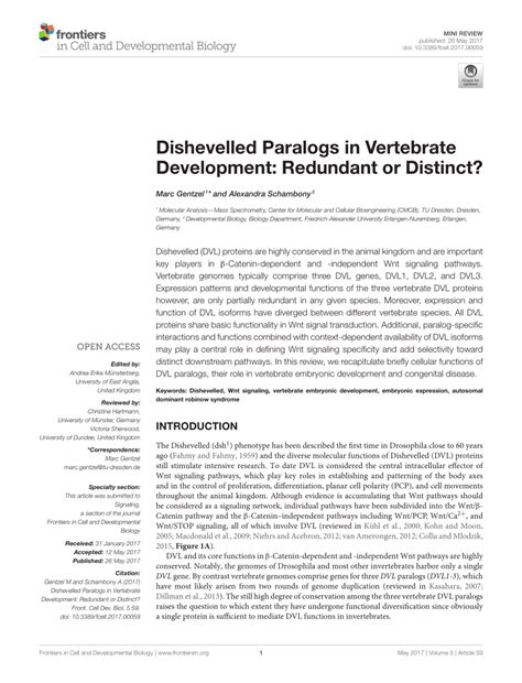 Pdf Dishevelled Paralogs In Vertebrate Development Redundant Or