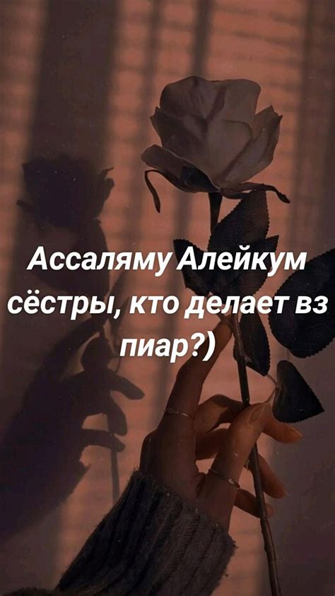 Ассаляму Алейкум сёстры кто делает вз пиар