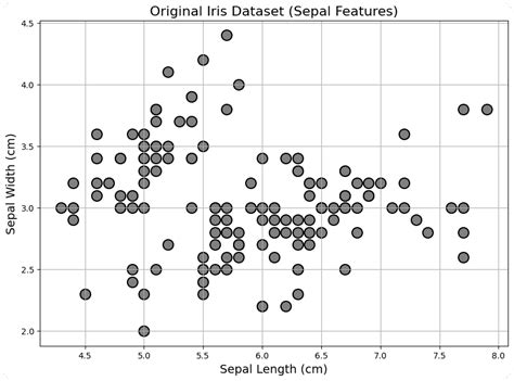 Iris Dataset Clustering With K Means A Step By Step Analysis