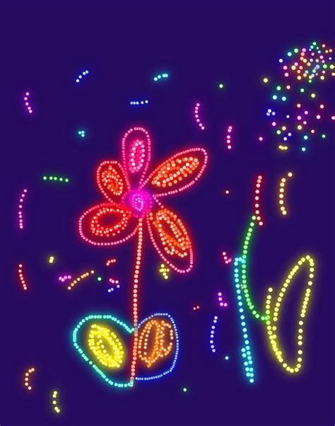 Fireworks And Flowers Daisy