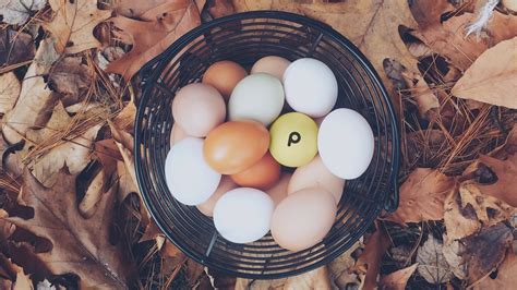 Our Favorite Software Easter Eggs 2016 Pingdom