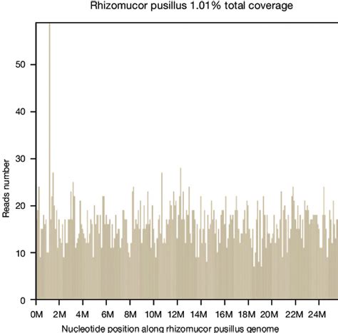 Report Of Pmseq Of Csf Distribution Of The Locations In The Pathogen Download Scientific