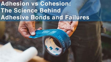 Cohesion Vs Adhesion Civil Made Easy Cohesive Force And Adhesive Force