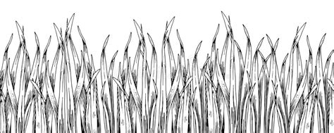Grass Black White Drawing Stock Illustrations 25764 Grass Black White Drawing Stock