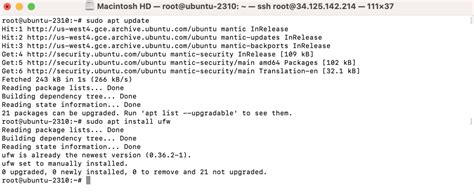 how to set up a firewall with ufw on ubuntu 23 10 devtutorial