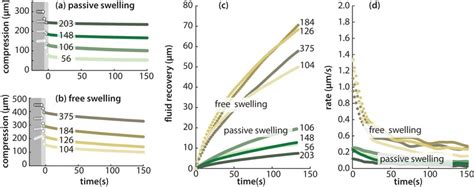 Results Of Passive And Free Swelling Experiments A Raw Compression Download Scientific