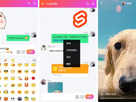 svelte3 x聊天实例 svelte sveltekit仿微信界面 andy2016 站酷zcool