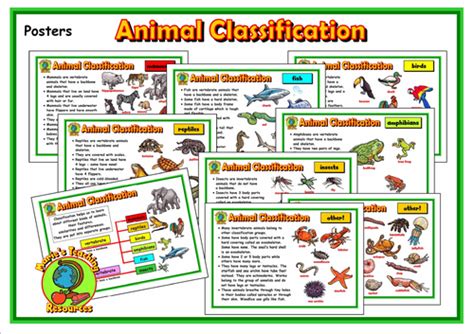 Animal Classification Posters Teaching Resources