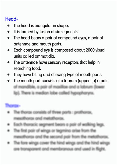 Solution Morphology Of Cockroach Head Thorax And Abdomen Studypool
