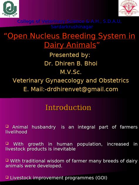 Open Nucleus Breeding System In Dairy Animals Pdf Sheep Cattle