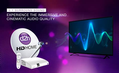Buy D2h Smart Dth Hd Set Top Box Offer Dth Connection 1 Month