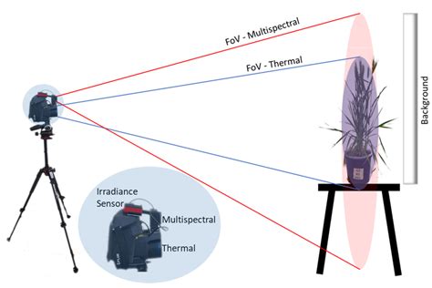 Integrated Multimodal And Imaging Setup A Multispectral Camera Was Download Scientific Diagram