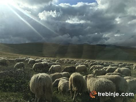 Prirodne Ljepote Hercegovine Visoravan Morine Ili Evropski Tibet Foto