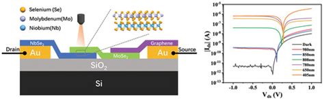 Self‐powered Photodetector With High Performance Based On All‐2d Nbse2 Mose2 Van Der Waals