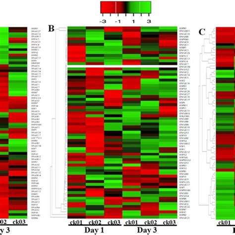 Expression Profiles Of Hsp Genes At 21 Different Growth Stages Of Early