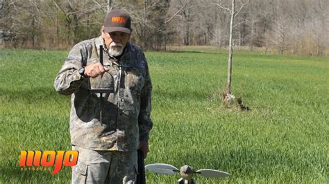 Dove Hunting Tips Mojo Quick Set Dove Tree Youtube