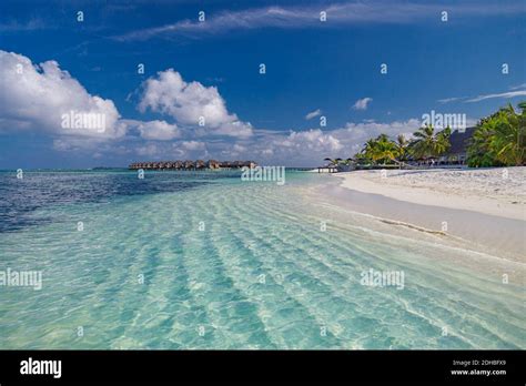 Maldives Paradise Beach Perfect Tropical Island Beautiful Palm Trees