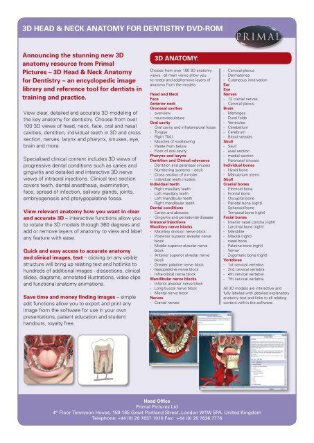 3d Head And Neck Anatomy For Dentistry Primal Pictures