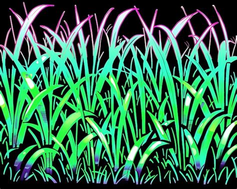 42000 Grass Contrast Pictures