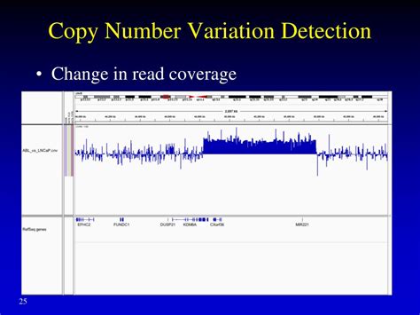 Ppt Genome And Exome Sequencing Read Mapping Powerpoint Presentation Id3010691