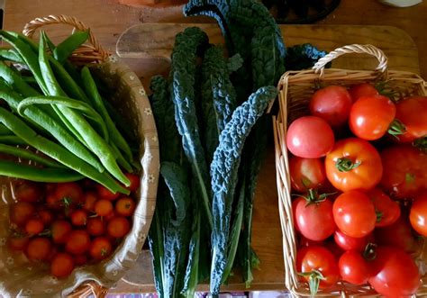 How To Start Your Own Organic Veg Patch With Lunch The Homestead