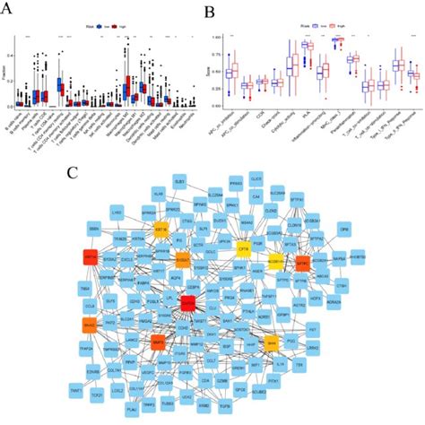 Cibersort Analysis Of Tcga Luad Dataset A The Bar Plot Displayed The Download Scientific