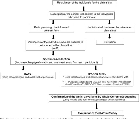 Figure 1 From Efficacy Of Novel Sars Cov 2 Rapid Antigen Tests In The
