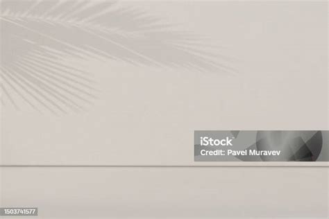 텍스처 열대 잎 그림자 제품 프리젠 테이션 및 개체 표시를위한 최소한의 파스텔 베이지 여름 추상 배경빈 방 벽 3d 렌더링 0명에 대한 스톡 사진 및 기타 이미지 Istock