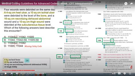 INTEGUMENTARY AND SURGERYB CPT Flashcards Quizlet
