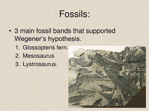 Ppt Alfred Wegener Powerpoint Presentation Free Download Id 5529541