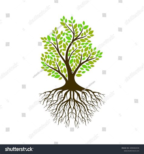 Tree Roots Vector Illustration Stock Vector Royalty Free 2090402434 Shutterstock