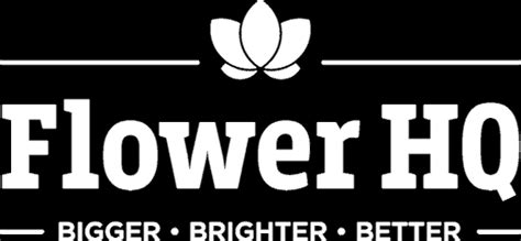 Flower Hq Discover Quality Flowers Today