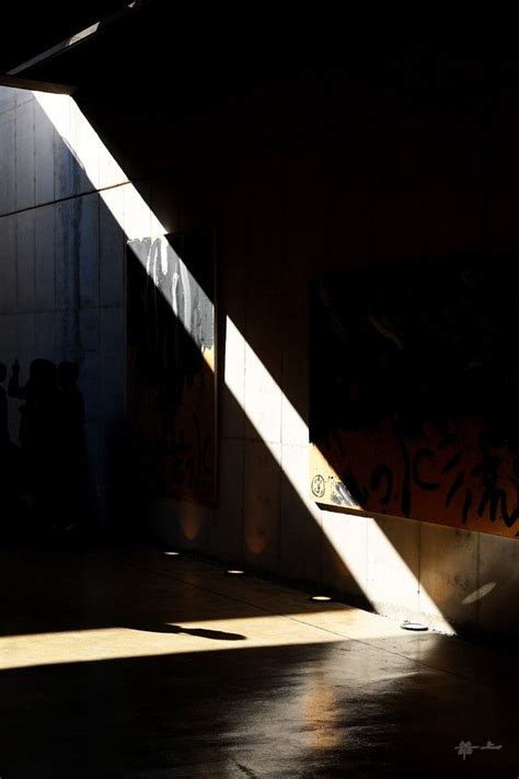 빛으로 채워진 공간