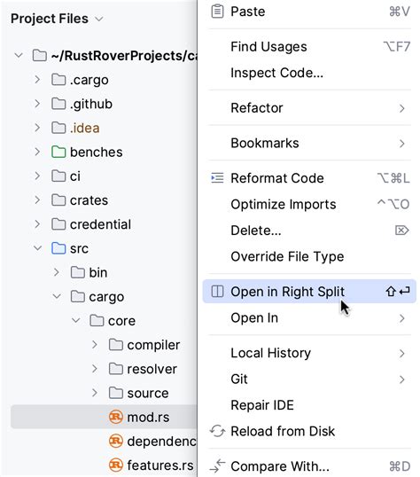 Editor Basics Rustrover Documentation