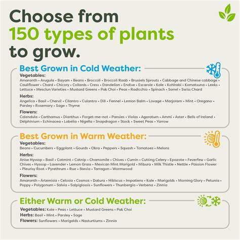 Tower Garden Flex Grow More Greens In Less Space