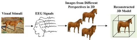 Our Model Reconstructs 3d Objects Using Eeg Signals Download